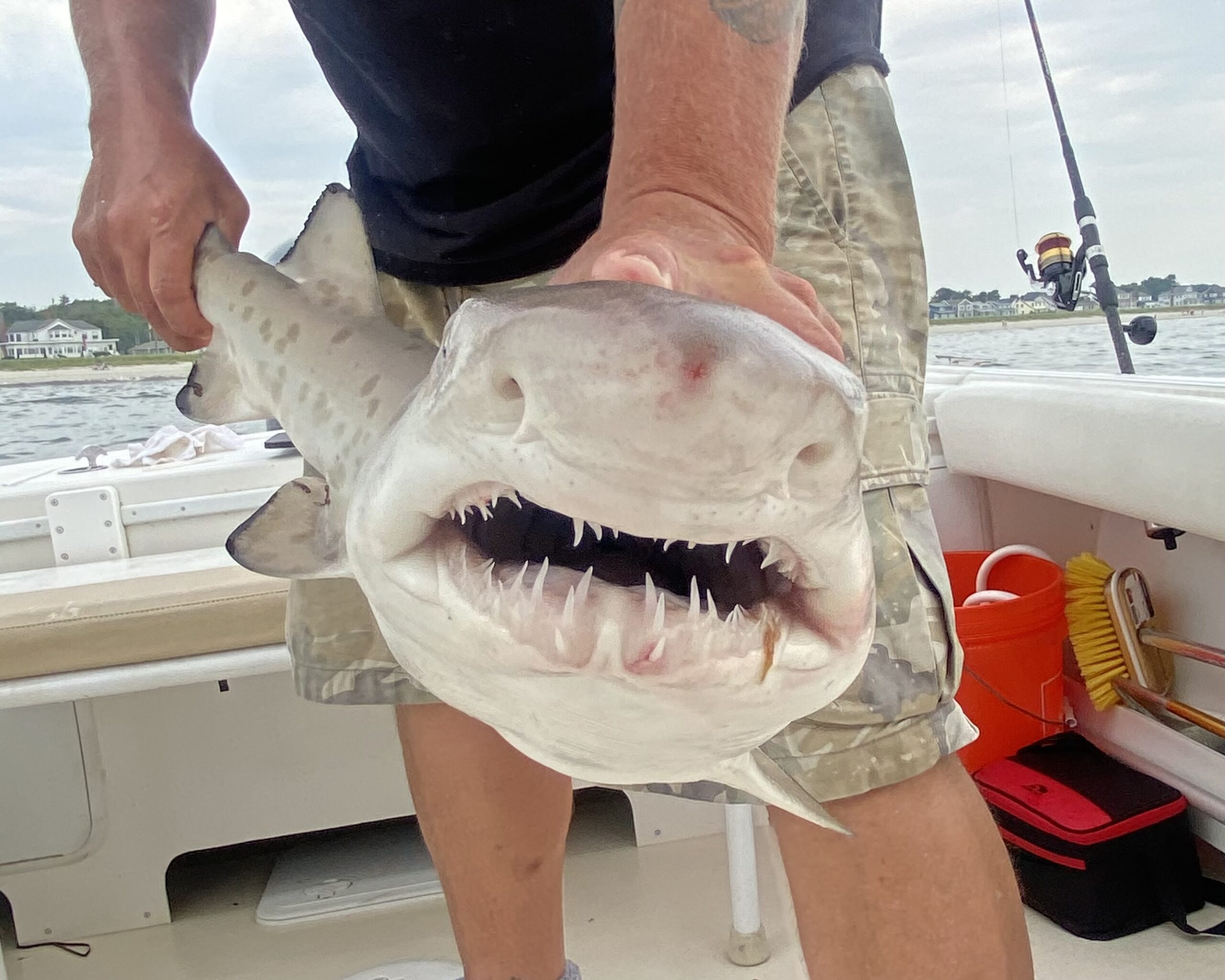 Fishing Charters Portland ME | Cruise Tour Portland ME | May May Charter